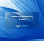 Professional equality index